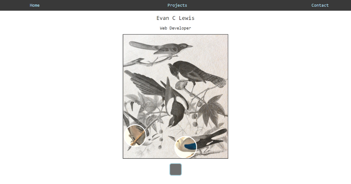 Evan C Lewis - Web Author and Web Developer